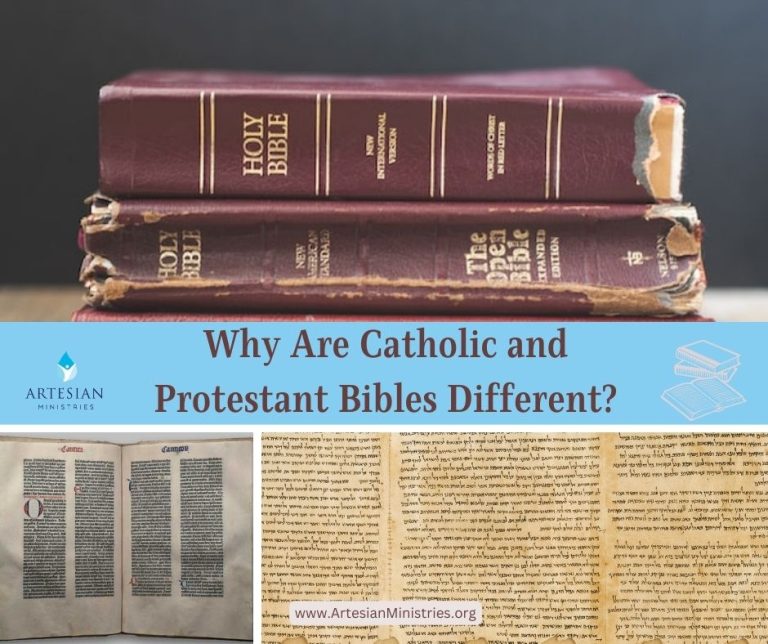 Why Are Catholic and Protestant Bibles Different? - Artesian Ministries