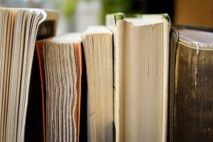 Best Books of the Bible to Read First - Artesian Ministries