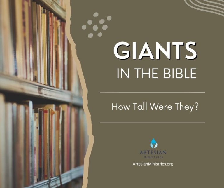 Sons of Noah in the Bible and What Happened to Them - Artesian Ministries