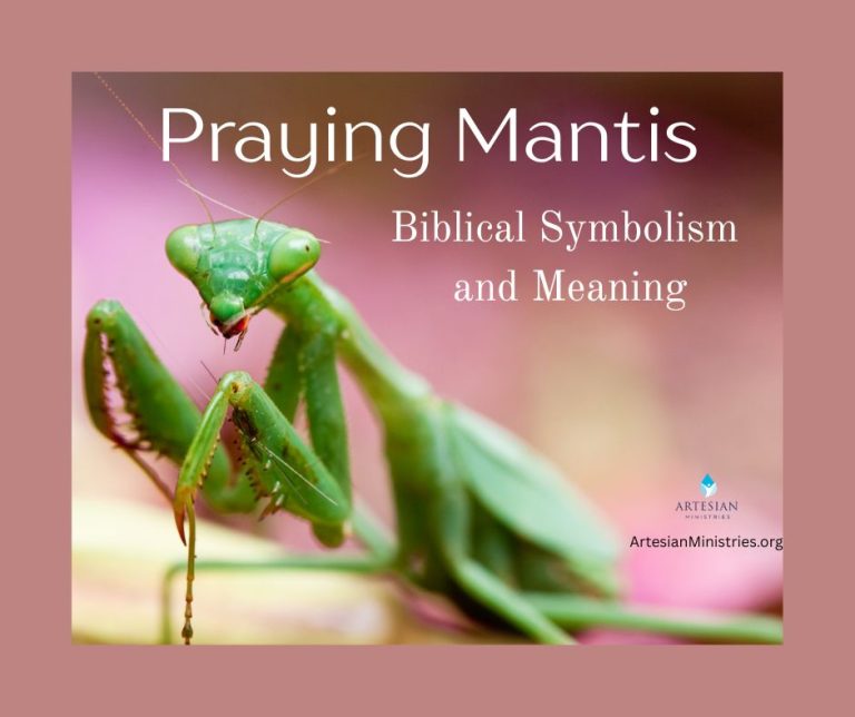 Praying Mantis in the Bible: Symbolism and Meaning - Artesian Ministries