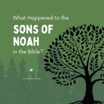 Sons of Noah in the Bible and What Happened to Them - Artesian Ministries